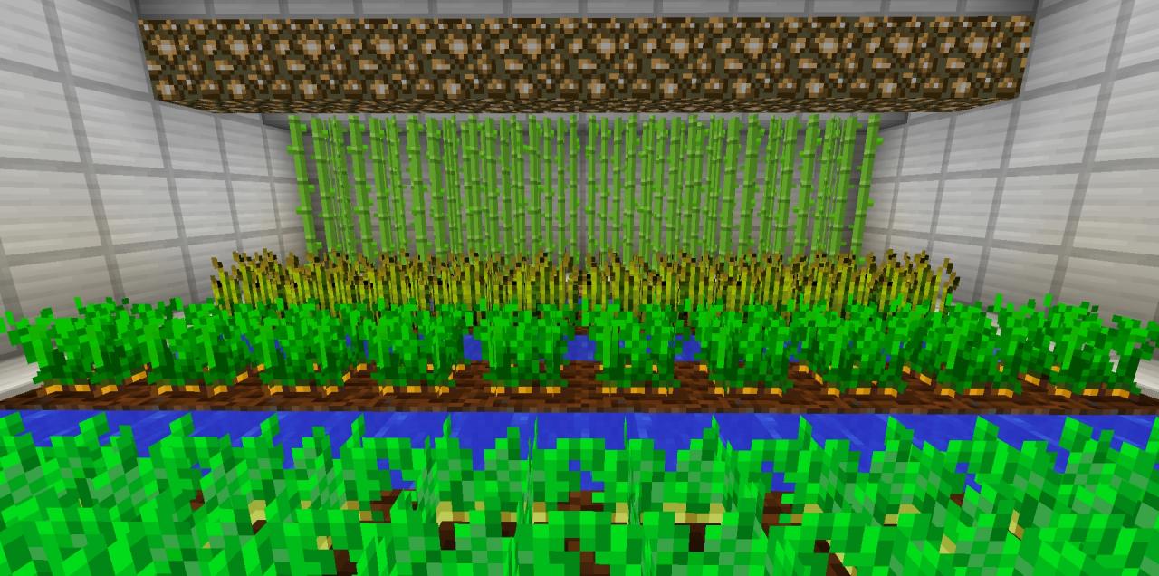 S.S. Paradox and fleet Minecraft Map