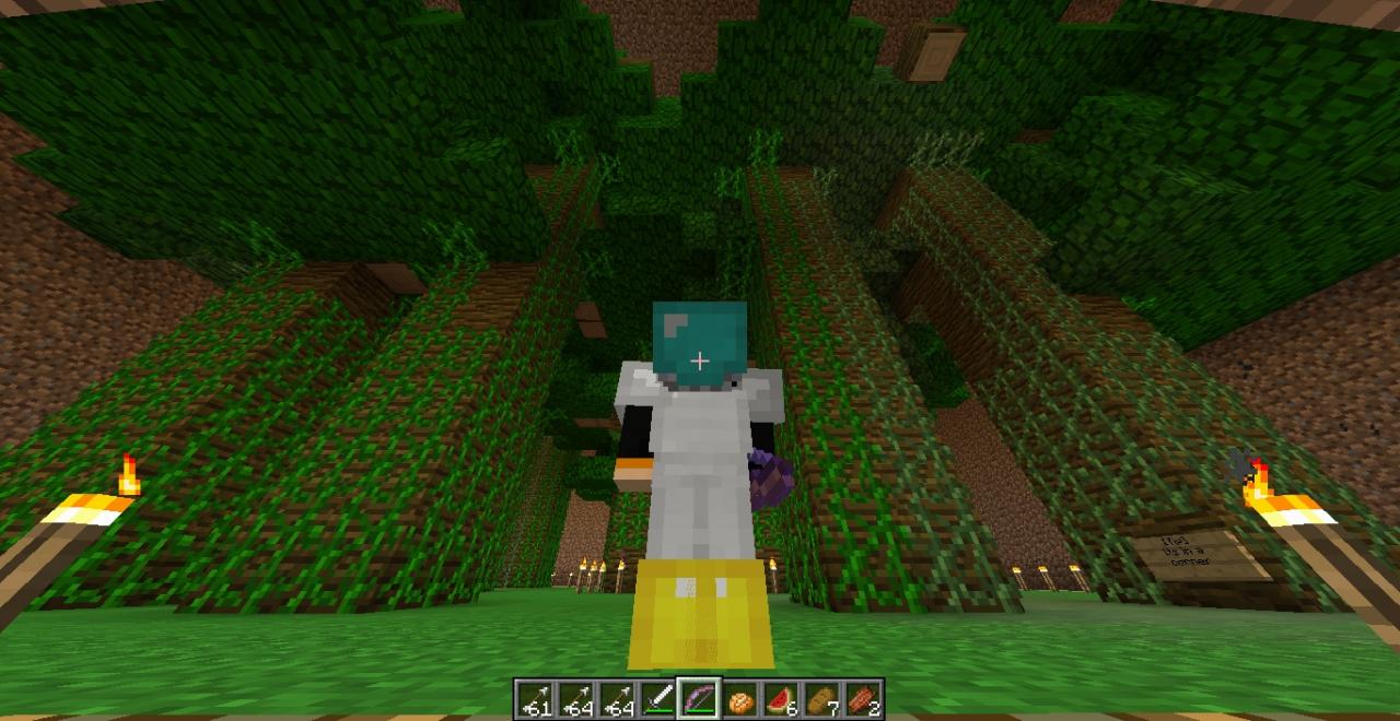 The Lost Mine Minecraft Map