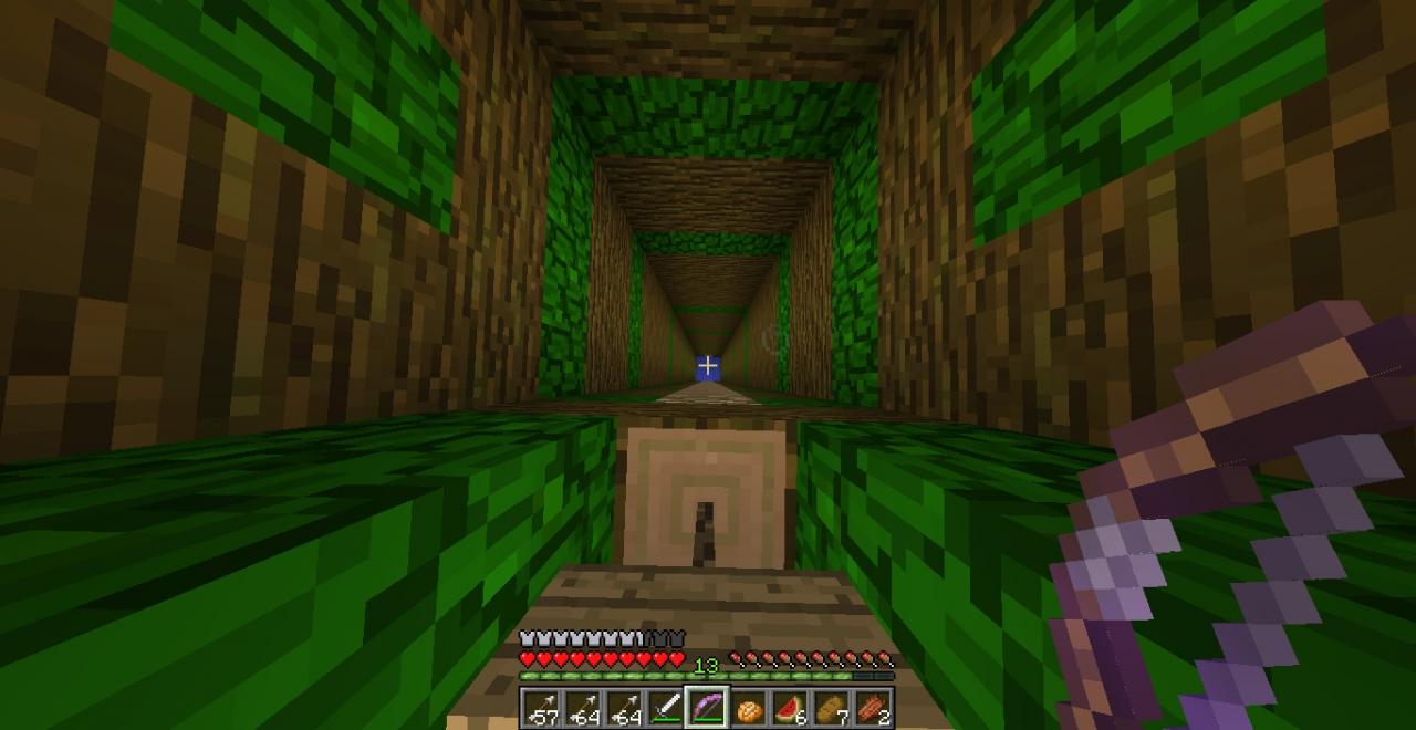 The Lost Mine Minecraft Map