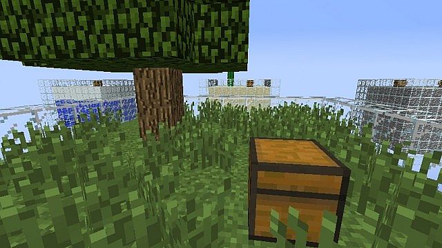 The 9 Blocks Survival Minecraft Map