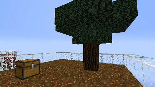 The 9 Blocks Survival Minecraft Map