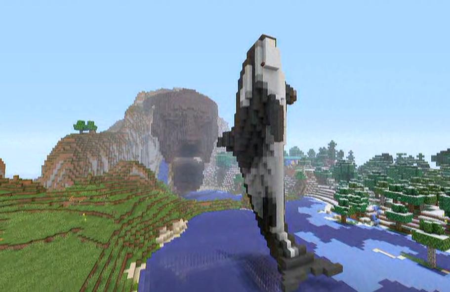 3D Orca and Human Face Minecraft Map