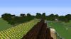 Sunflowers Field Minecraft Map