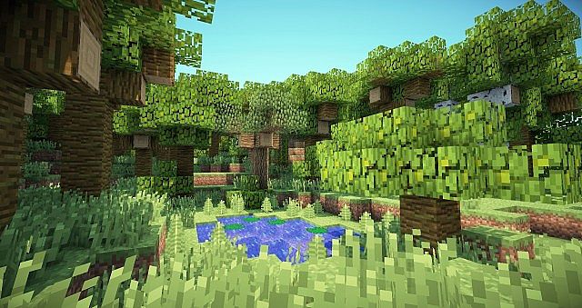 Custom tree pack Vol.2 Tropical Forest Minecraft Map