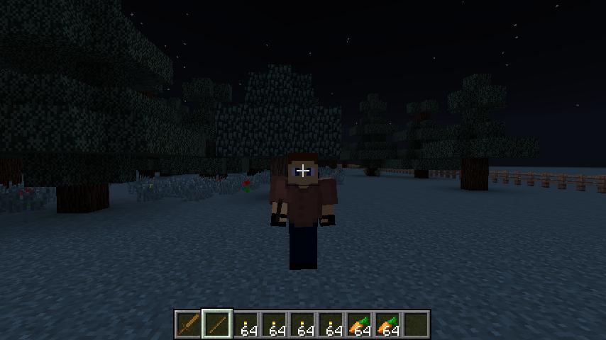 Slender Map (Better Version} Minecraft Map