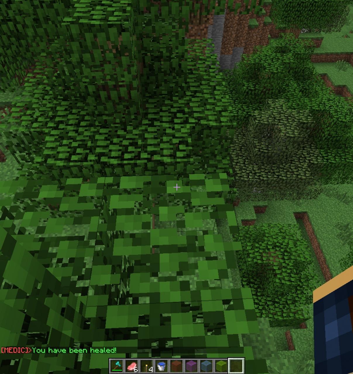 [Plugin] Medic! v.2 Minecraft Mod