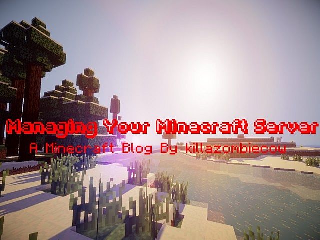 Managing a Minecraft Server