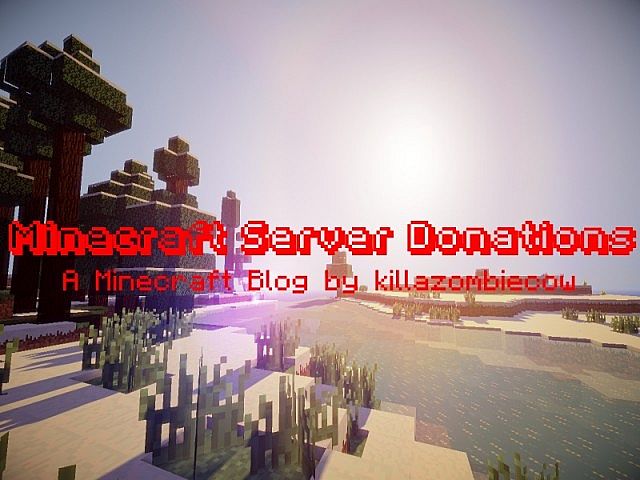 Minecraft Server Donations