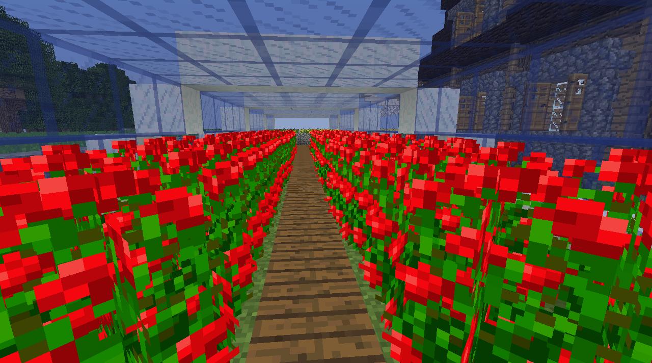 Sunflowers Field Minecraft Project