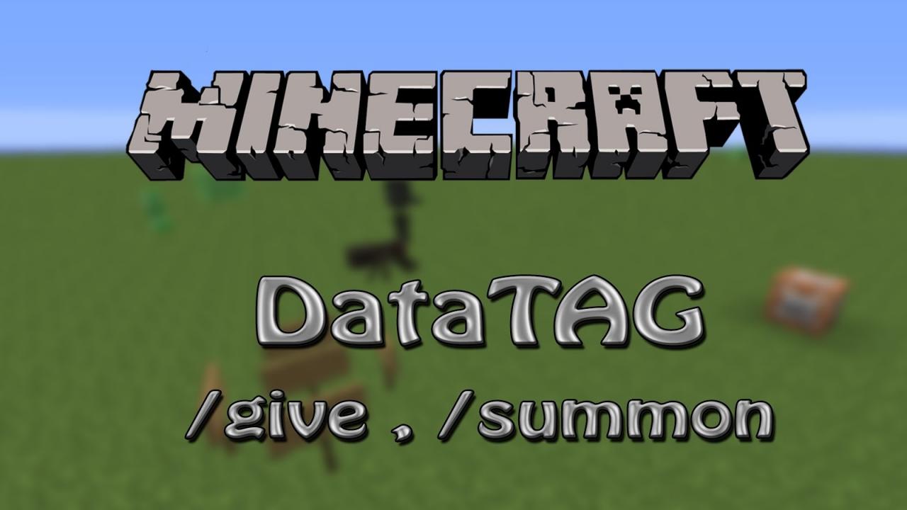 Minecraft Command Blogs | Data tags [1.13+] Minecraft Blog