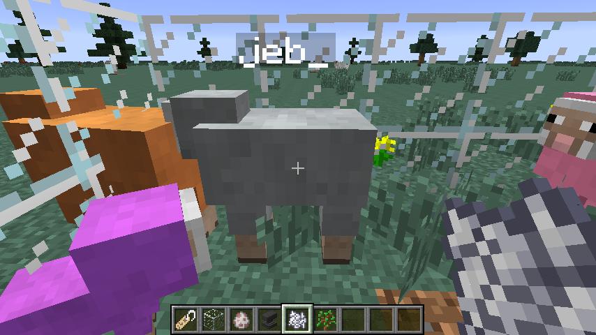 Rainbow sheep (1.7.4) Minecraft Project