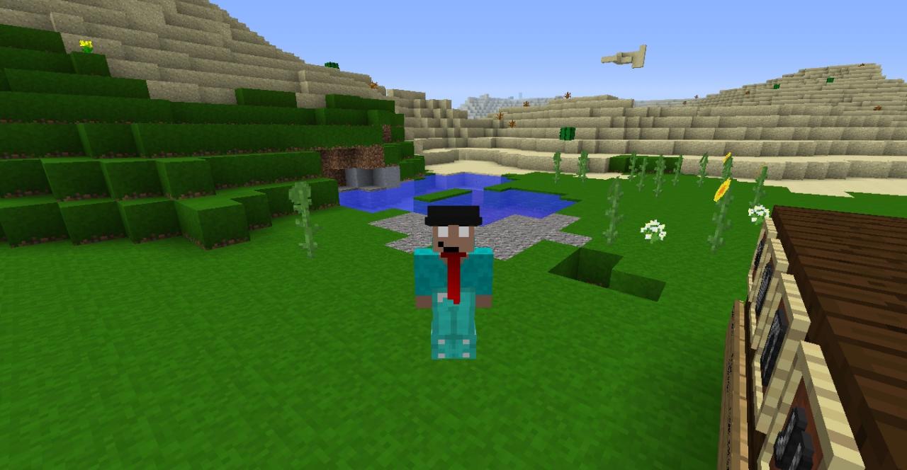 Random Craft Minecraft Texture Pack