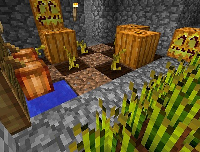 Survival with Cool features! Minecraft Map