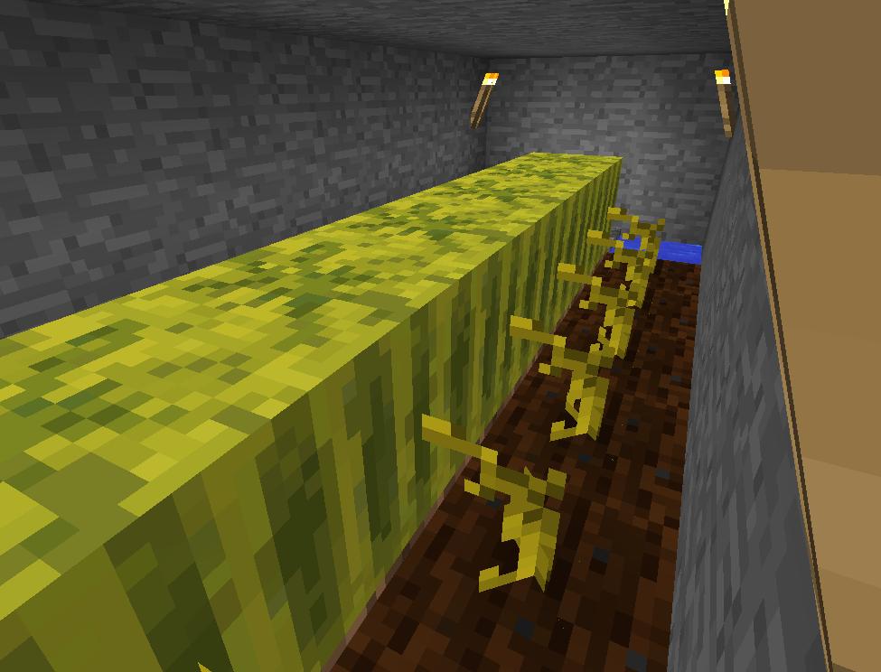 Survival with Cool features! Minecraft Map