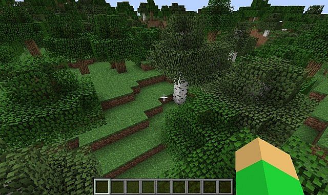 birch wood seed Minecraft Map