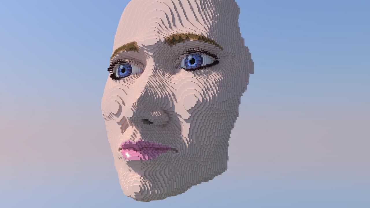 Face Minecraft Map