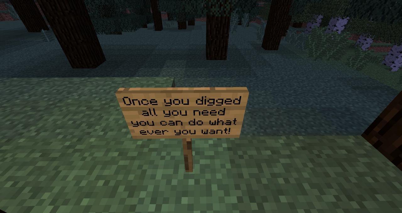 You will be rich! Minecraft Map