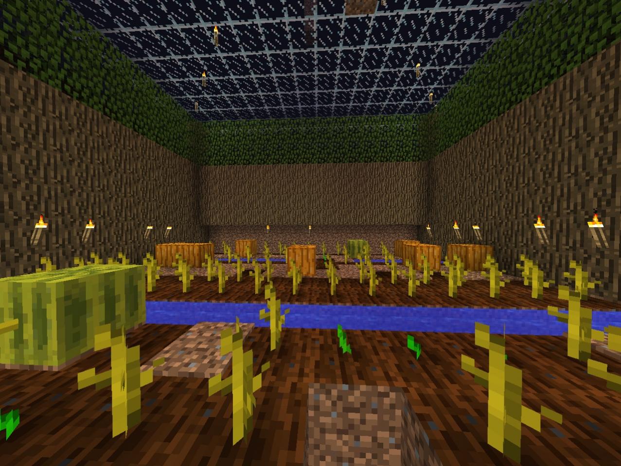 Farm house Minecraft Map