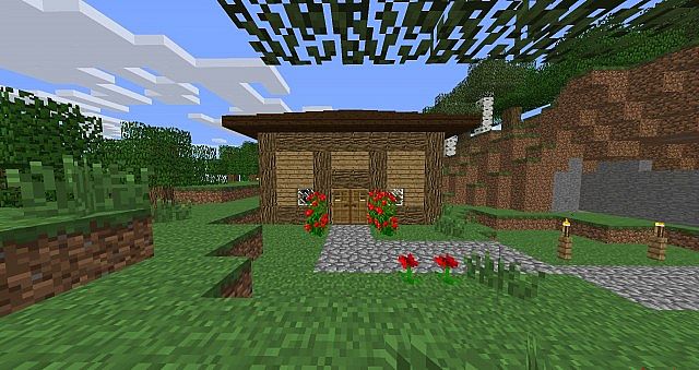 Starter Pack Minecraft Map