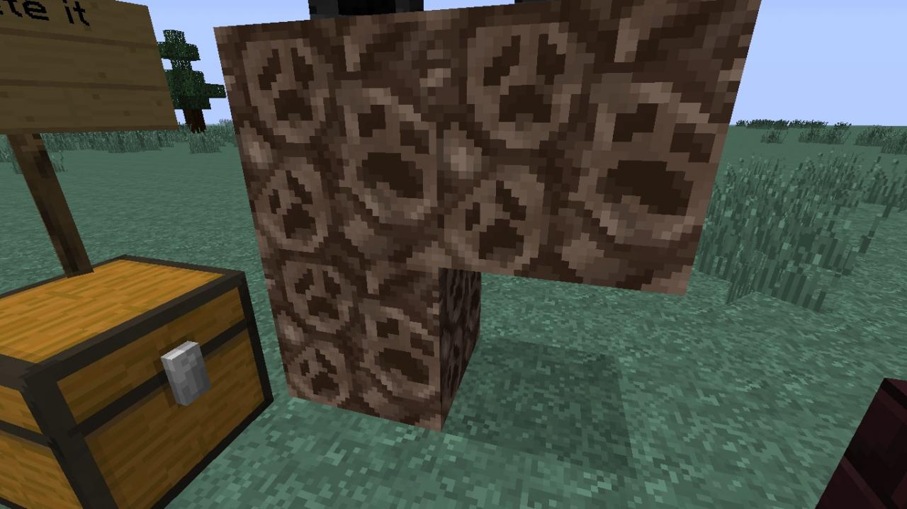 wither boss Minecraft Map