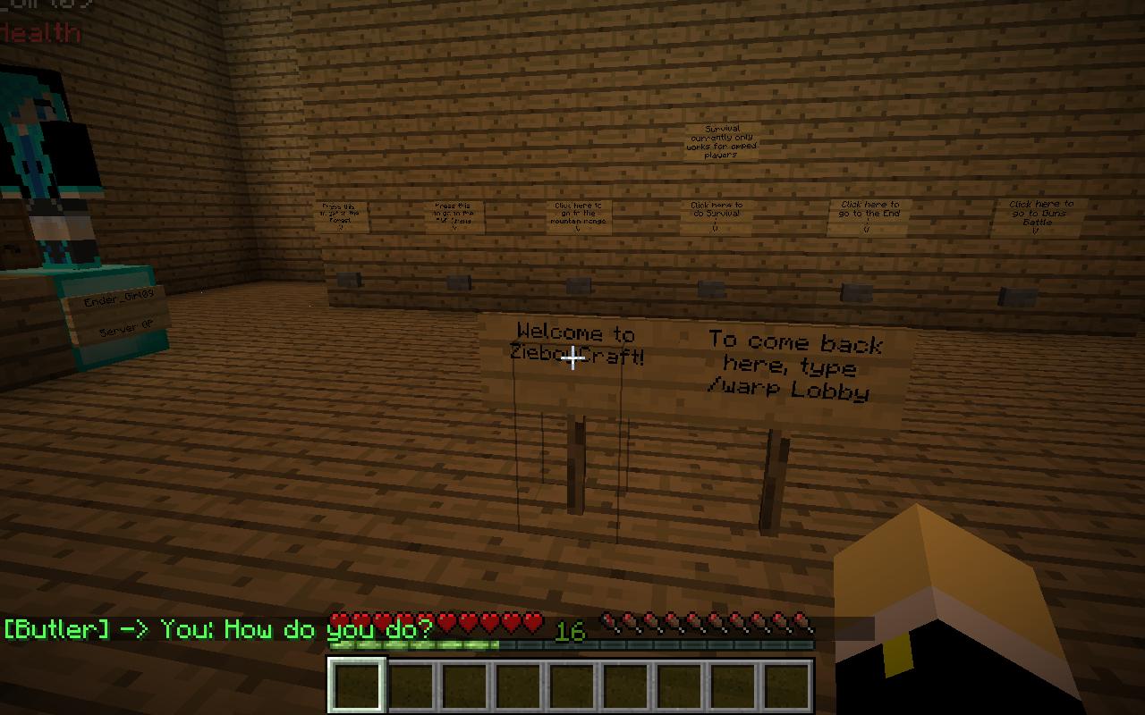 ZieboyCraft Minecraft Server