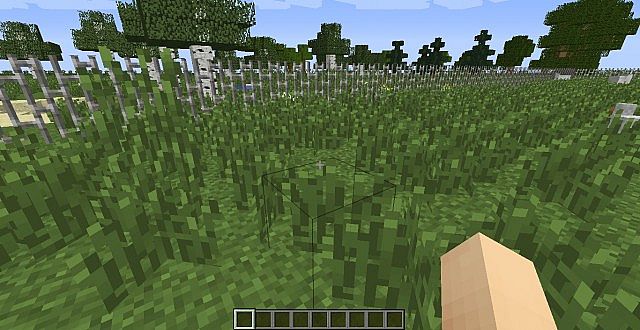 Animal Shelter Minecraft Map