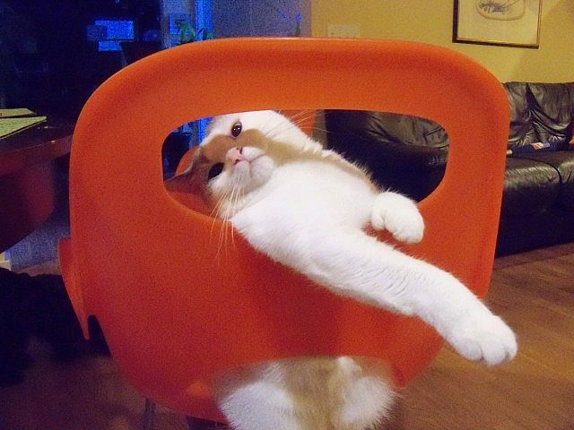 Galaxy Craft Minecraft Server