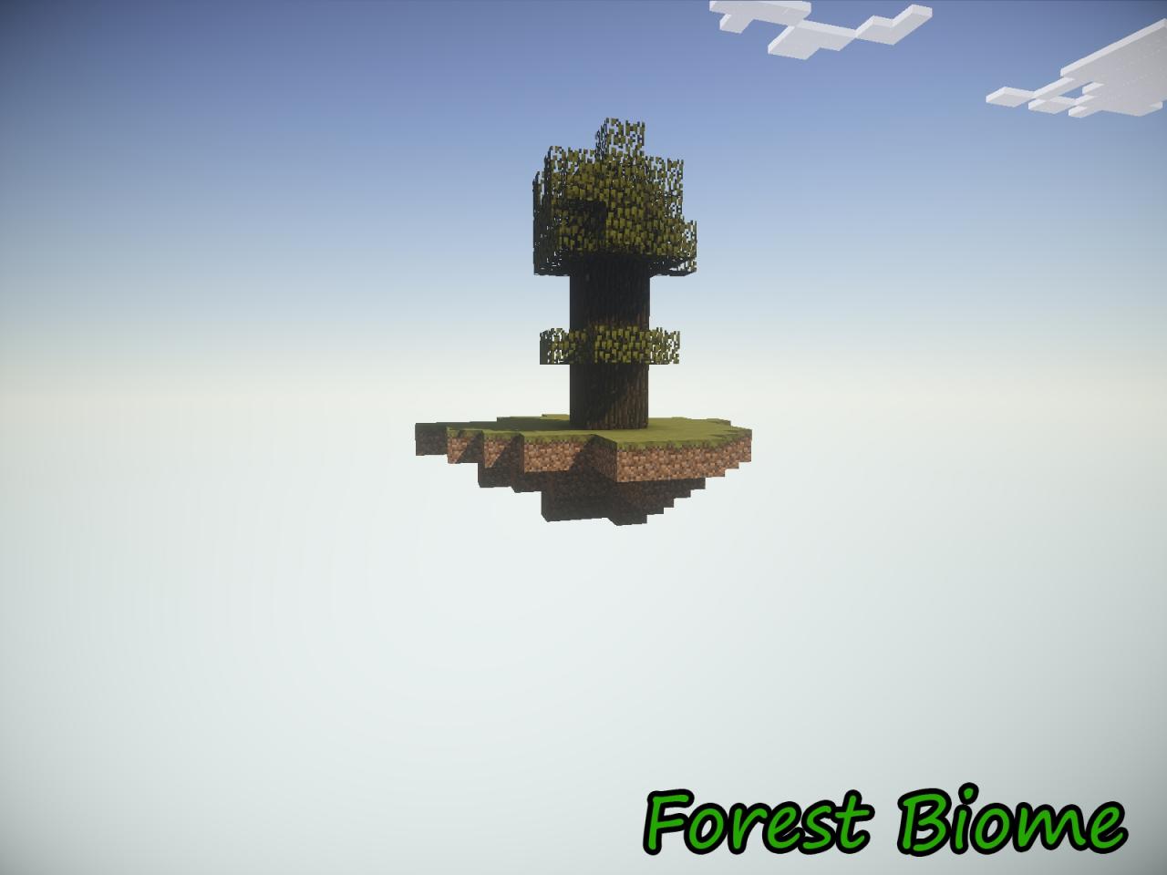 Block of Biome v.1.0 Minecraft Map