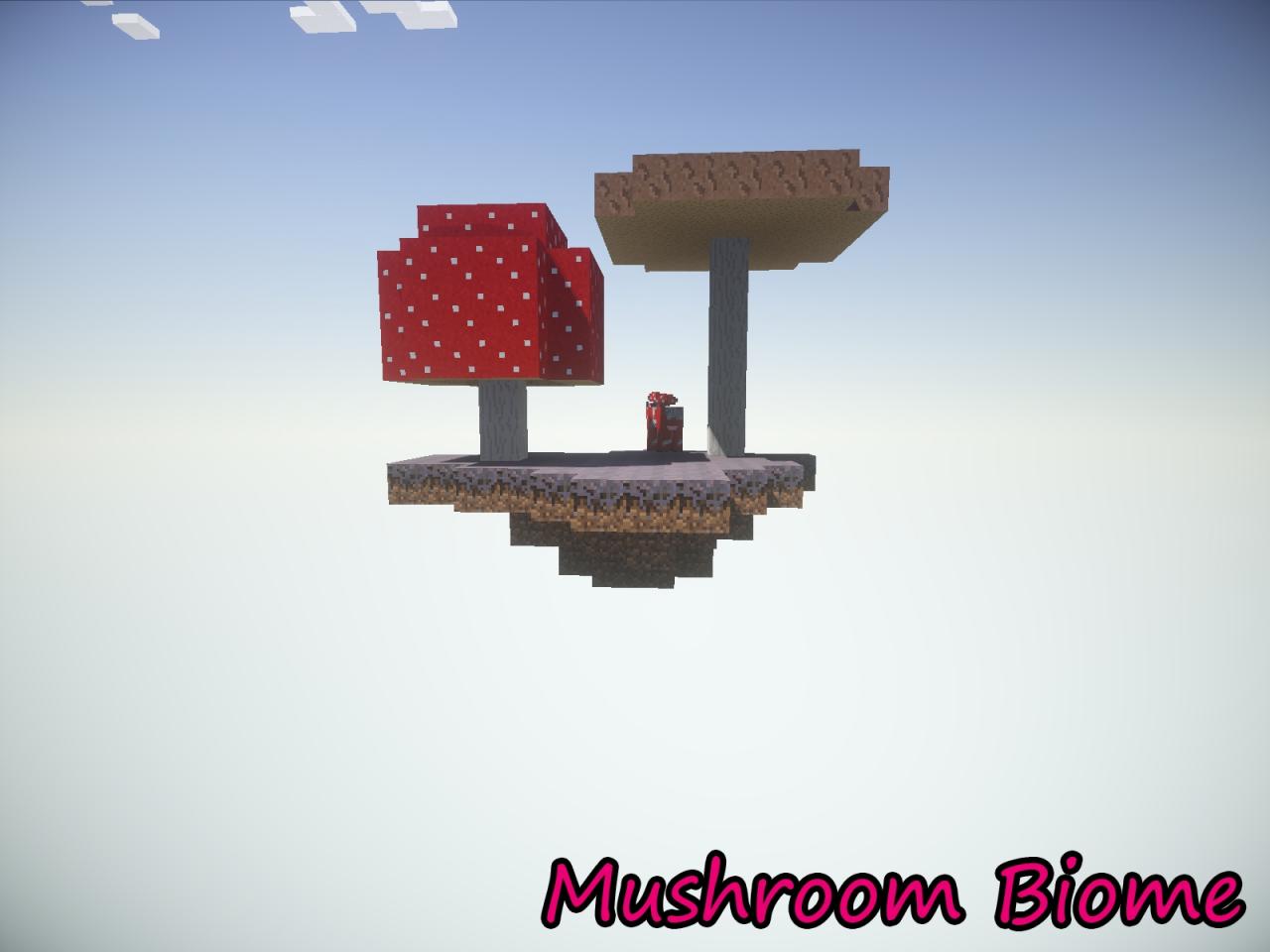 Block of Biome v.1.0 Minecraft Map