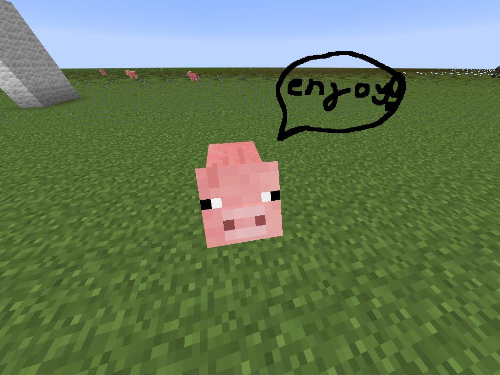 Escape The Hamster Cage!!! Minecraft Map