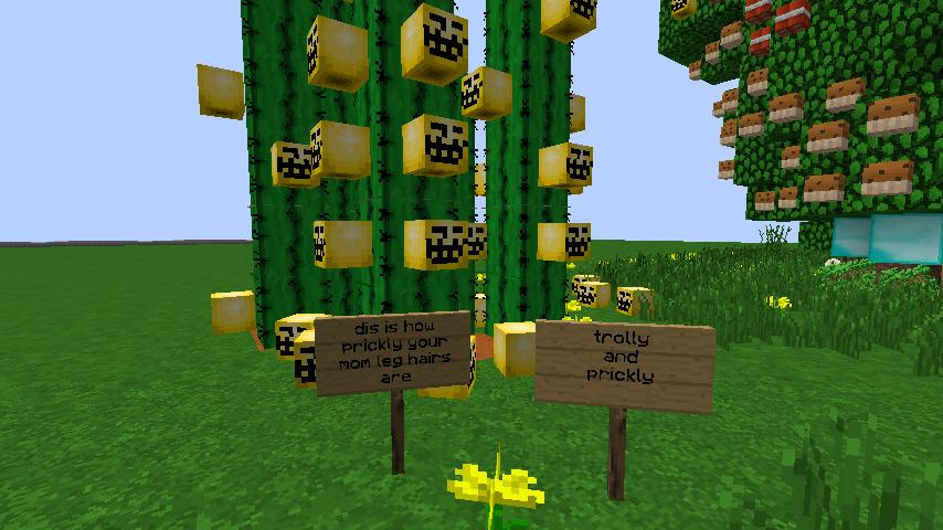 Best Minecraft House Ever! Minecraft Map