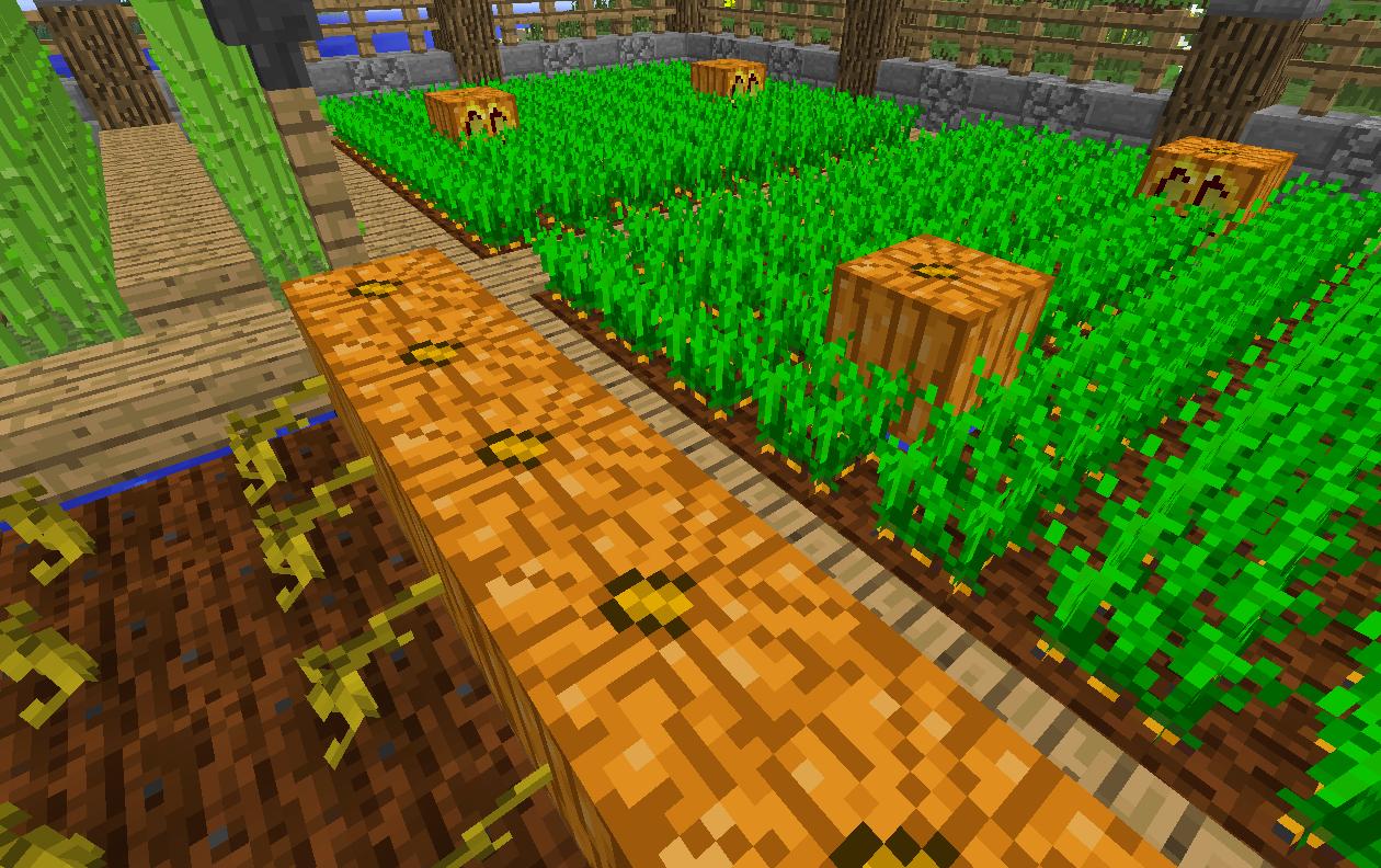 Fields Minecraft Map