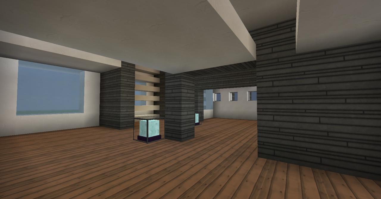 Dominic's Small Modern House (1) Minecraft Map
