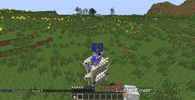 Skeleton horse riding Skeleton horse
