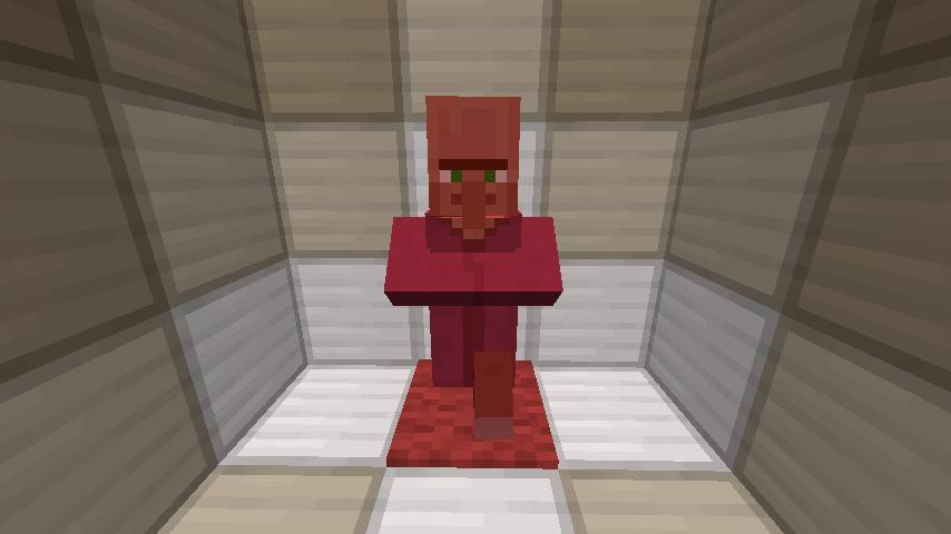 Villager Life Cycle Minecraft Map