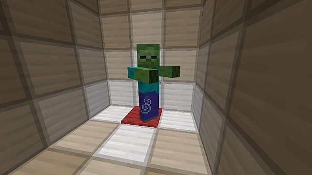 Villager Life Cycle Minecraft Map