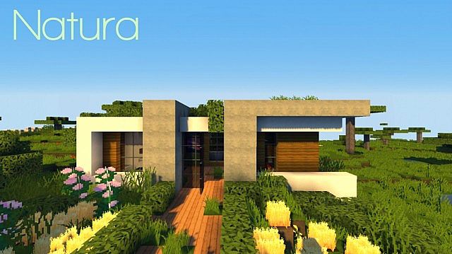 Natura | An organic modern home Minecraft Map