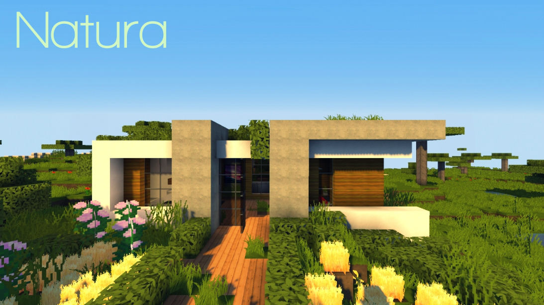 Natura | An organic modern home Minecraft Map