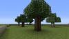 ExecBuild Tree schematics Minecraft Map
