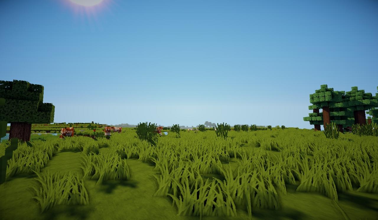 Survival World Minecraft Map