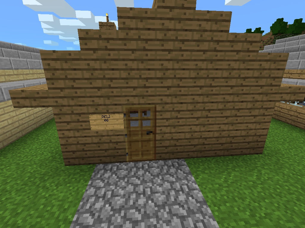 Homemade Village Minecraft Map