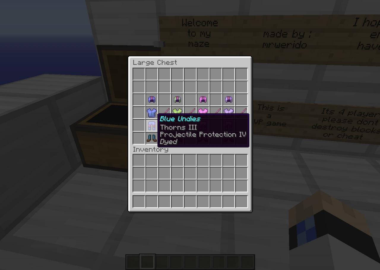 The Maze Minecraft Map