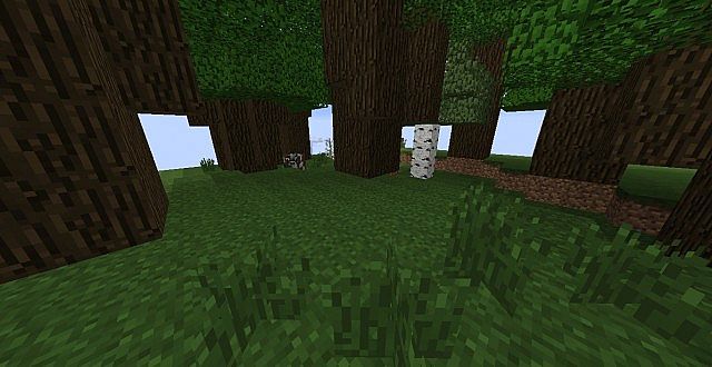 The Wormhole Minecraft Map