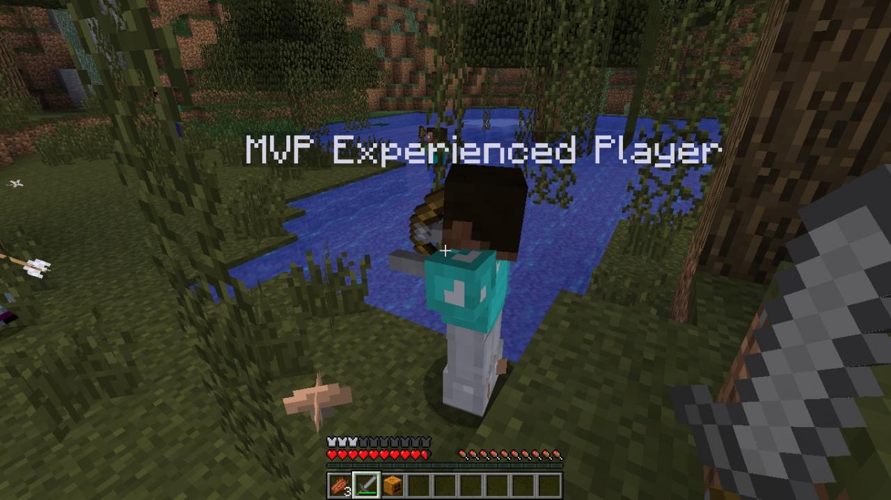 The NPC Games! Minecraft Map