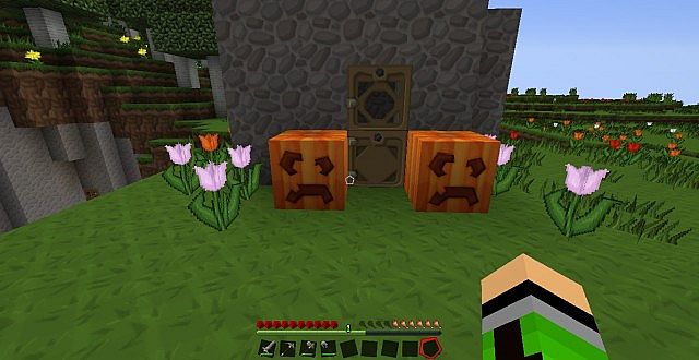 my first survival world Minecraft Map