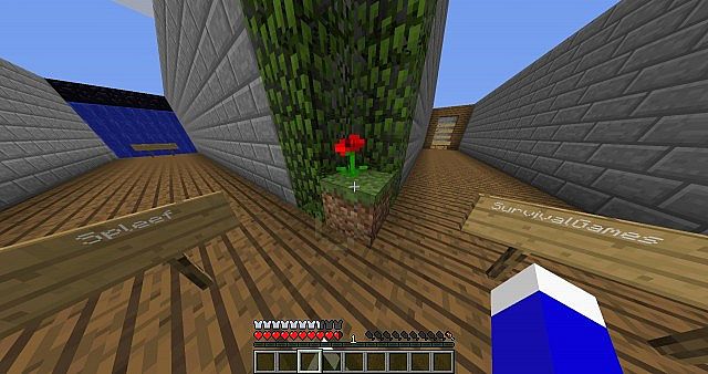 Mini games server Minecraft Server