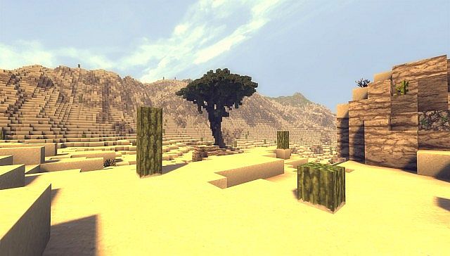 Tsett - Such Realism, Much Custom, wow Minecraft Map