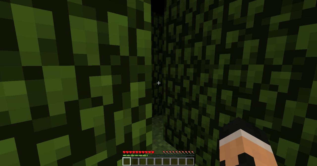 A Heart's Labrinth Minecraft Map