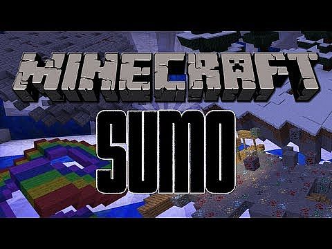 Sumo Minecraft Map