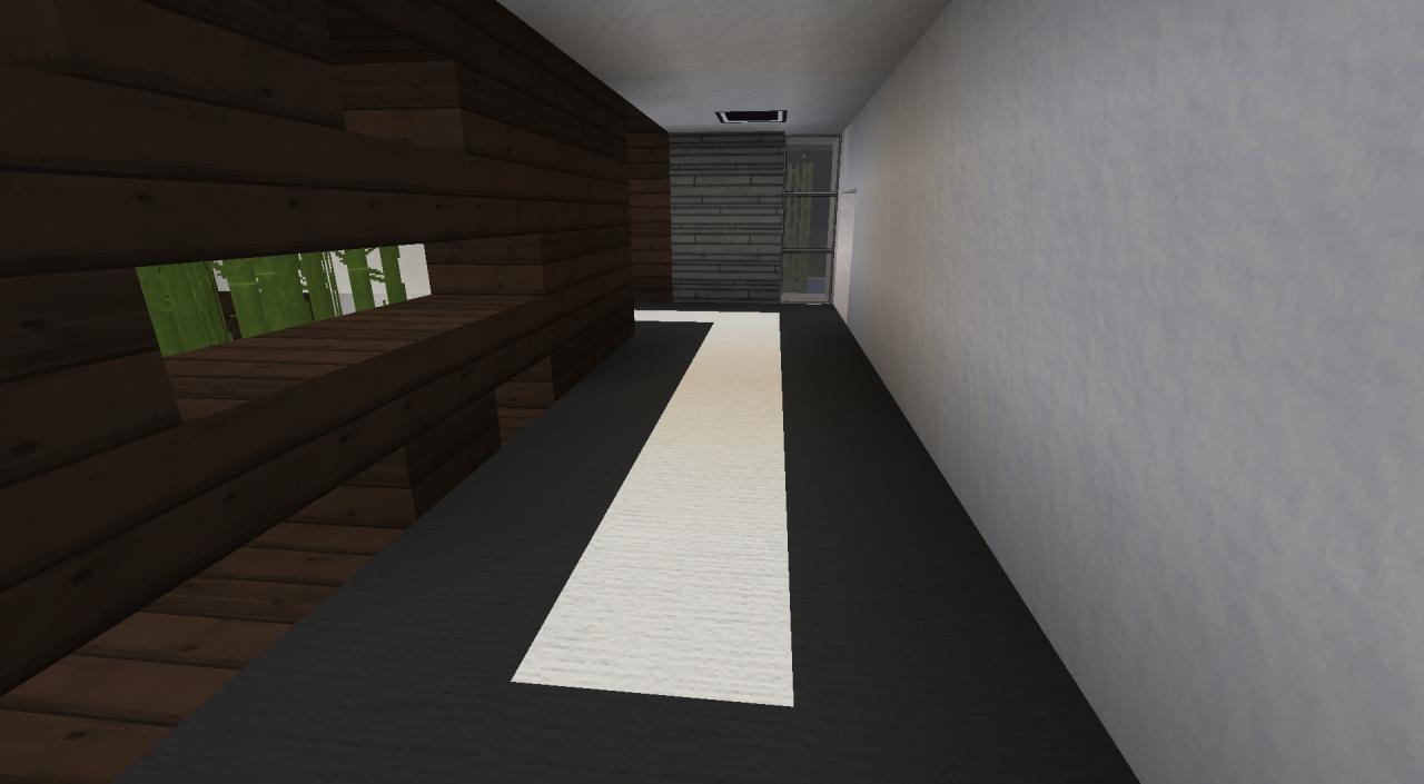 Mirrored-a one person modern home Minecraft Map